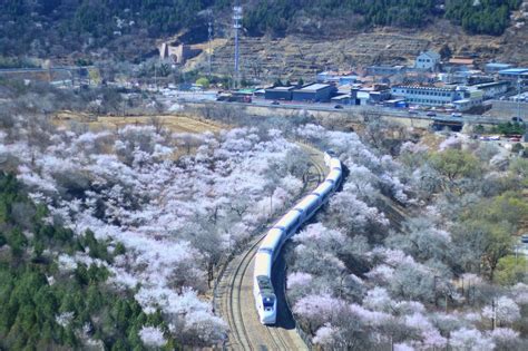 3月25日至4月10日，市郊铁路怀柔密云线调增铁路客票预售量北京时间