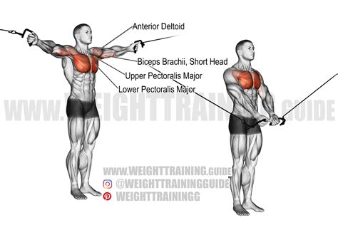 Most Effective Chest Exercises Using A Resistance Band Resistance Band Chest Workout At Home
