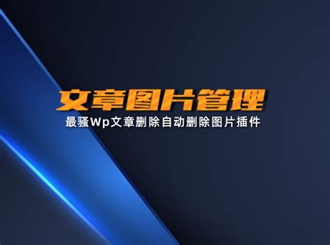 Wordpress删除文章时自动删除图片插件最骚程序 最骚主题