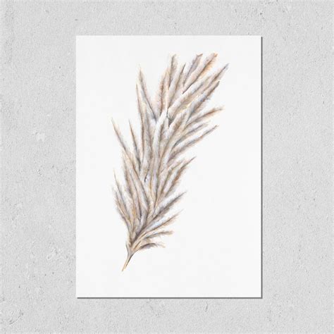 Pampas Grass A3 Art Print By Dollybirds Art