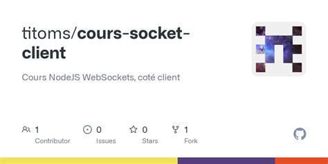 Github Titomscours Socket Client Cours Nodejs Websockets Coté Client