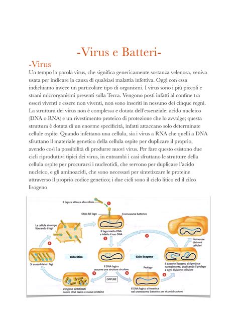 Batteri E Virus Virus E Batteri Virus Un Tempo La Parola Virus Che