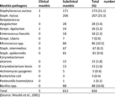 3 Mastitis Pathogens Isolated From Camels With Clinical And