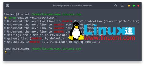 在 Linux 系统上使用更好的正则表达式 Linux迷