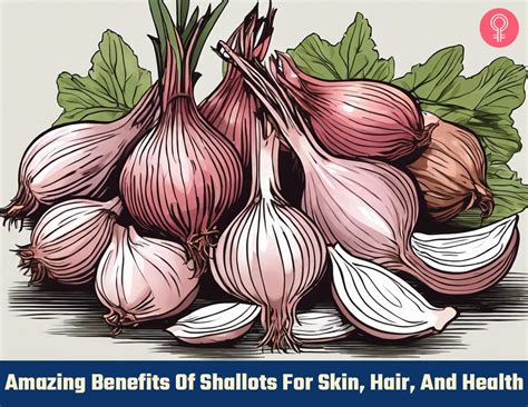 13 Amazing Benefits Of Shallots For Skin Hair And Health