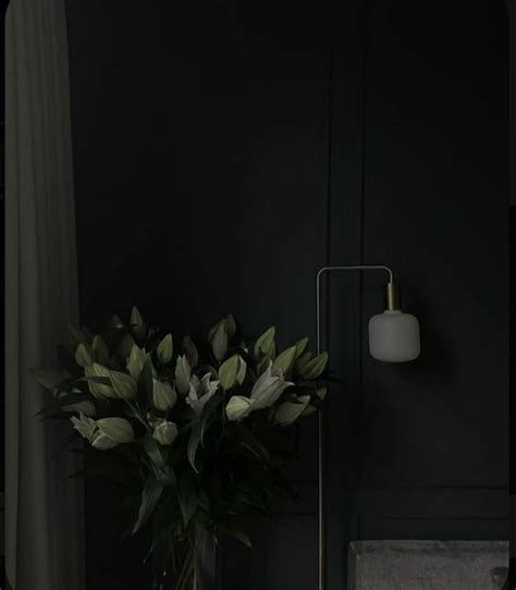 Пин от пользователя Agnes на доске 🤎dark Aesthetic🤎 Зеленые картины Оттенки фиолетового Обои