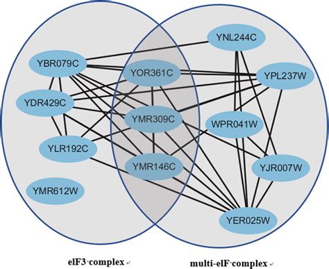 An Example Of Overlapping Protein Complexes Download Scientific Diagram