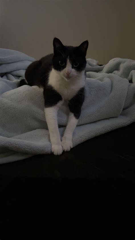 A Princess On Her Thrown 👸 Rfloof