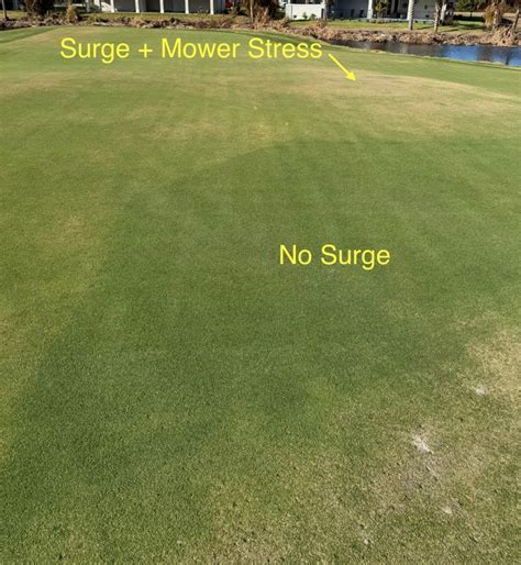 Its Rarely The “one Thing” And Generally “death By 1000 Cuts” New