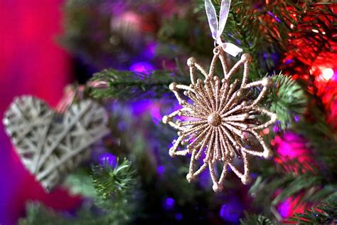 Christmas Tree Holiday Free Photo On Pixabay Pixabay