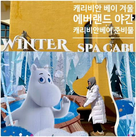 용인 캐리비안베이 겨울 준비물 꿀팁 정리 에버랜드 무료로 즐기기 네이버 블로그