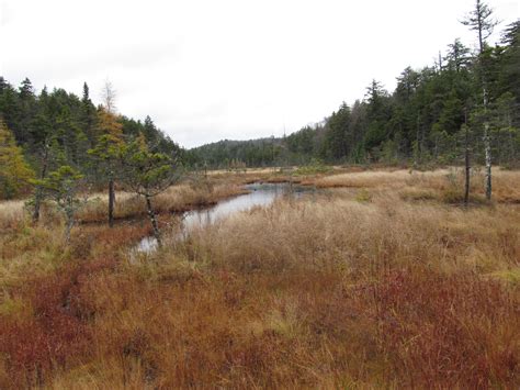 Elevation Of Benson Ny Usa Topographic Map Altitude Map