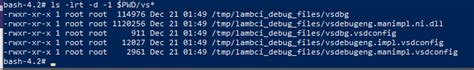 Debugging Net Core With Sam Local Not Working · Issue 941 · Awsaws