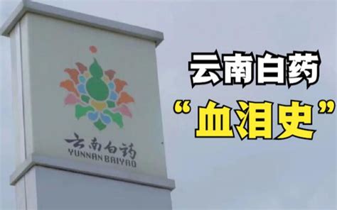 云南白药：从“一个人的品牌”到“一个民族的品牌”哔哩哔哩bilibili