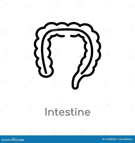 Outline Intestine Vector Icon Isolated Black Simple Line Element Illustration From Medical