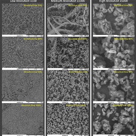 Sem Micrographs Of Bleached Cellulose Nanofibrils With Different Solids