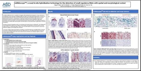 Advanced Cell Diagnostics Acd A Bio Techne Brand Leica Biosystems
