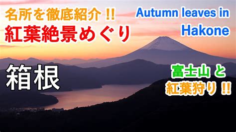 箱根の紅葉絶景と富士山（芦ノ湖・仙石原・大観山など） Autumn Leaves And Mt Fuji In Hakone