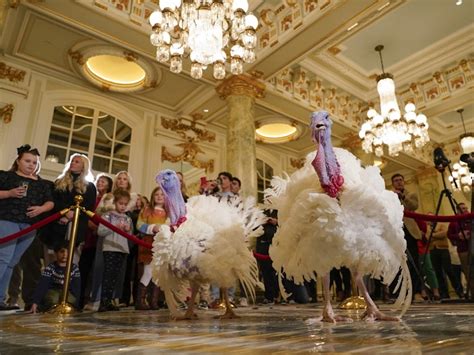 Kuow The President Is Once Again Pardoning Turkeys Who Did Nothing