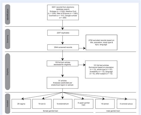 Figure 3 From Identification And Evaluation Of The Microbiome In The Female And Male