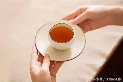 懂茶妹说茶一次性茶泡袋限制了你对投茶量的想象