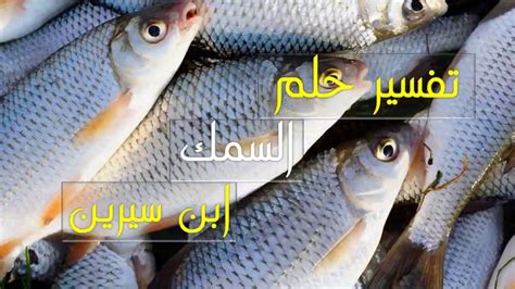 تفسير حلم السمك الكبير الحصول علي الخير من حلم السمك حنين الذكريات