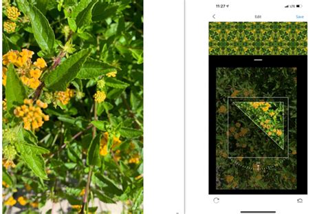 Making Your Own Pattern Paper Tutorial Scrapping With Liz