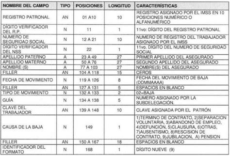 REGISTRO MASIVO DE MOVIMIENTOS AFILIATORIOS IMSS
