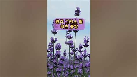 13년의 배테랑 아로마 테라피리스트가 직접 허브를 재배하기 위해 귀농하여 허브몽땅이라는 브랜드 네이밍처럼 몽땅 만나보세요