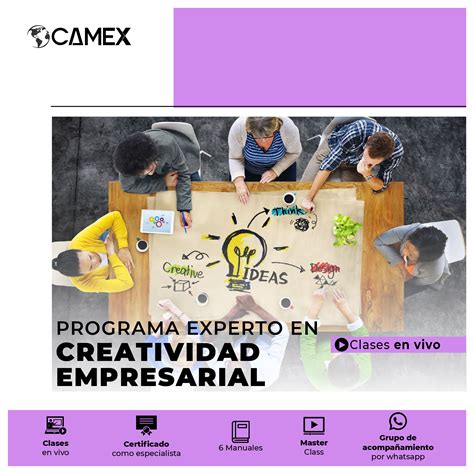 Programa Experto En Creatividad Empresarial CAMEX Hotmart
