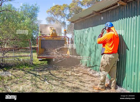 Worker Feeding Cut Tree Branches Into A Chipping Machine At An