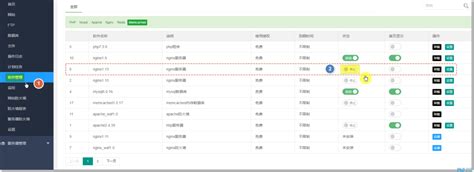 小皮面板Nginx安装与配置教程 站长百科