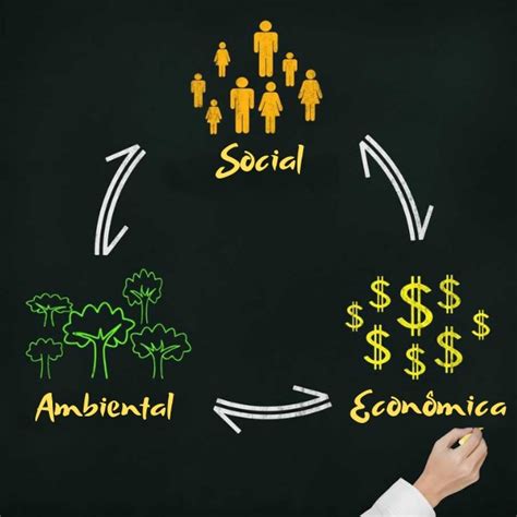 Sustentabilidade o que é tipos exemplos empresarial