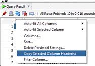 Copy And Paste Predicates In SQL Developer Oracle Forums