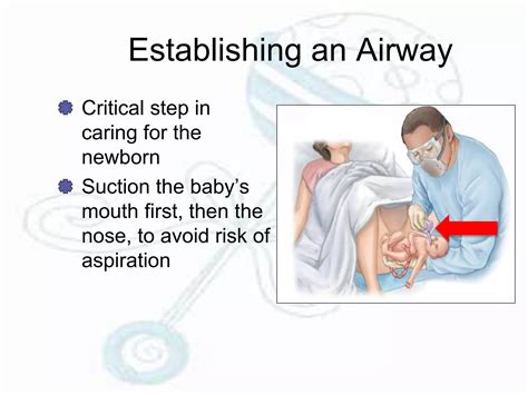 Neonate Pptx Pregnancy Reproductive Health