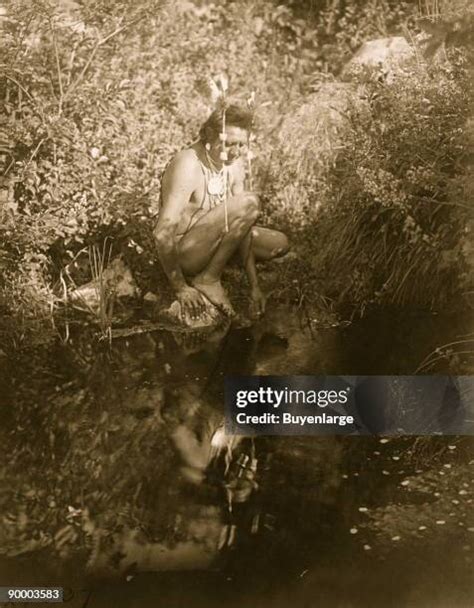 Indian Crow Photos And Premium High Res Pictures Getty Images