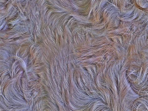 Texture Windows Bitmap Textile Material Fabric