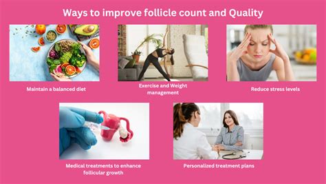 How Follicle Count Impacts Ivf Success Rates Key Insights