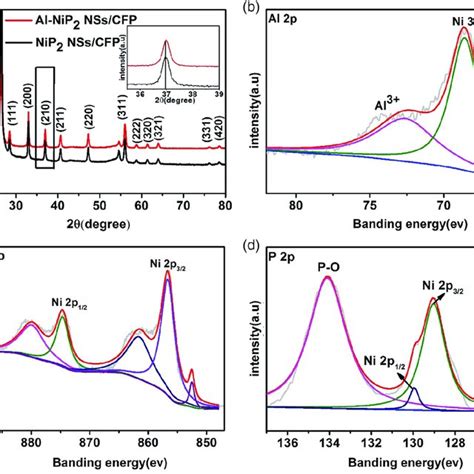 Polarization Curves Of Alnip2 Nsscfp And 20 Ptc Electrodes Optical Download Scientific