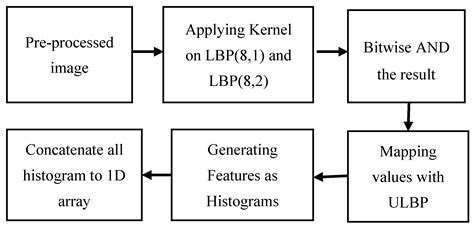 Development Of A Robust Multi Scale Featured Local Binary Pattern For Improved Facial Expression