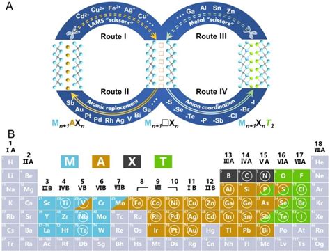Structural Editing Protocol Of Max And Mxene Mediated By The Chemical Download Scientific