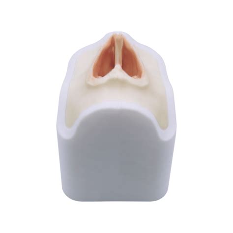 Neurosurgery Simulators Upsurgeon Store