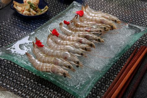 活虾图片素材 活虾设计素材 活虾摄影作品 活虾源文件下载 活虾图片素材下载 活虾背景素材 活虾模板下载 搜索中心