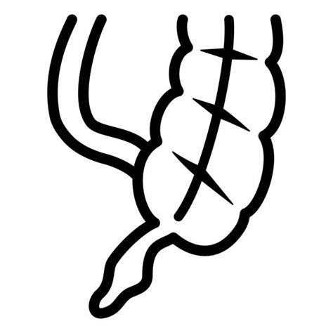 120 Clip Art Of An Appendix Stock Illustrations Royalty Free Vector