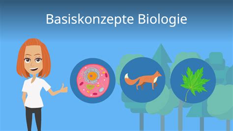 Biologie Archive Studyflix Wissen · Mit Video