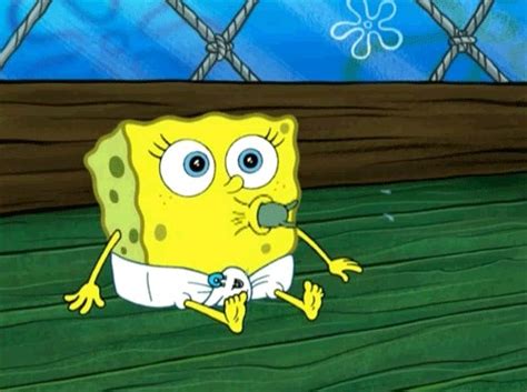 Bob Esponja Lovers