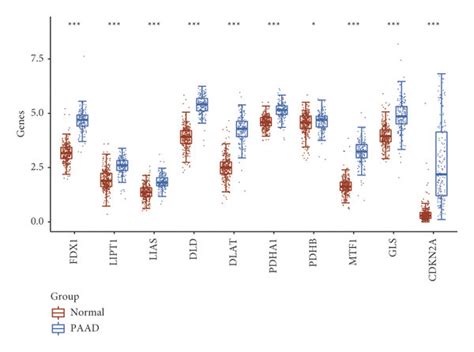 Mrna Expression And Clinical Prognosis Of Cuprotosis Related Genes In Download Scientific