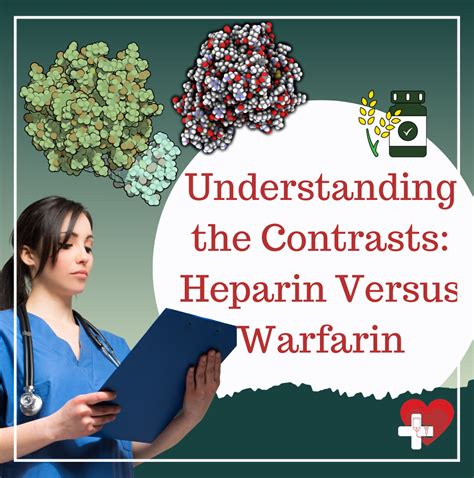 Understanding The Contrasts Heparin Versus Warfarin Nursing Focus