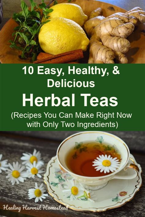 10 Best Easy Herbal Teas To Make For All The Reasons To Relax For
