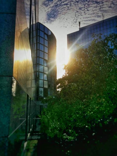 Zero Emission Building Design Gmbh Mit Dirk Henning Braun